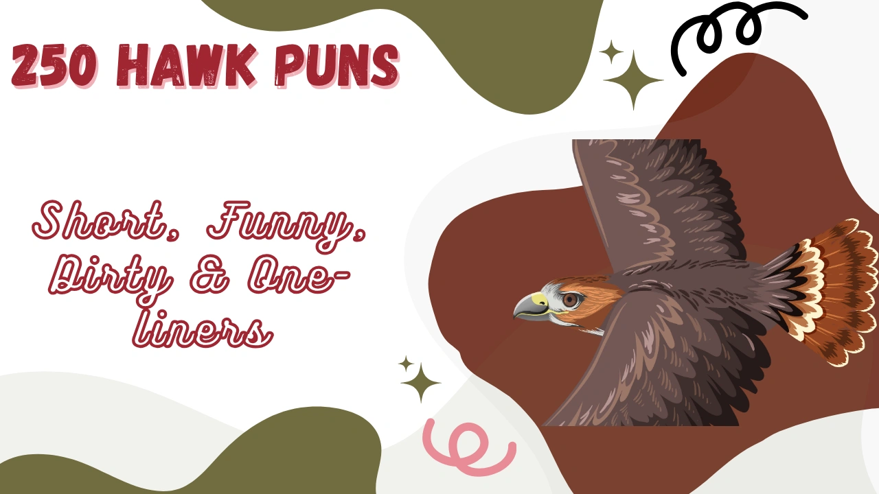 250 Best Hawk Puns: Funny, Dirty, Short, One Liners Captions & Names ...